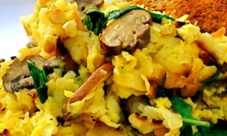 Matzo Brei - Shalom Adventure Magazine