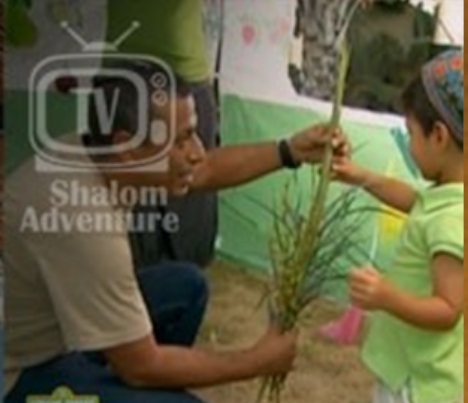 Shalom Sesame: Noam's Sukkot - Shalom Adventure Magazine