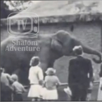 WWII Holocaust Heroes - Zookeeper's Jan and Antonina Zabinski - Shalom ...