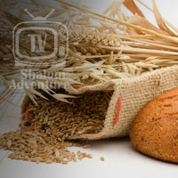 Tu'B Shevat. Wheat - Shalom Adventure Magazine